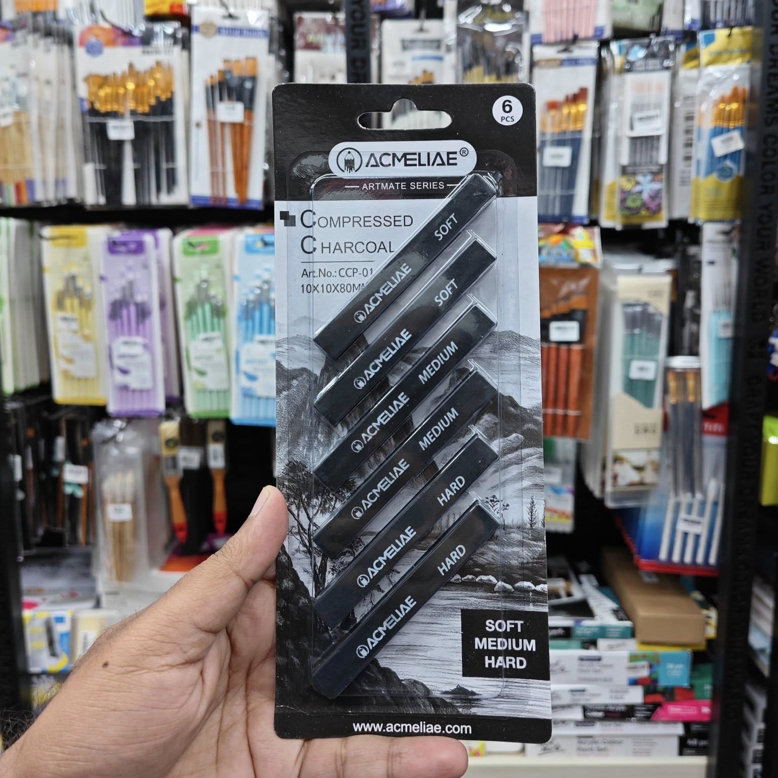 Acmelia compressed charcoal Soft, medium, hard 2 pieces each